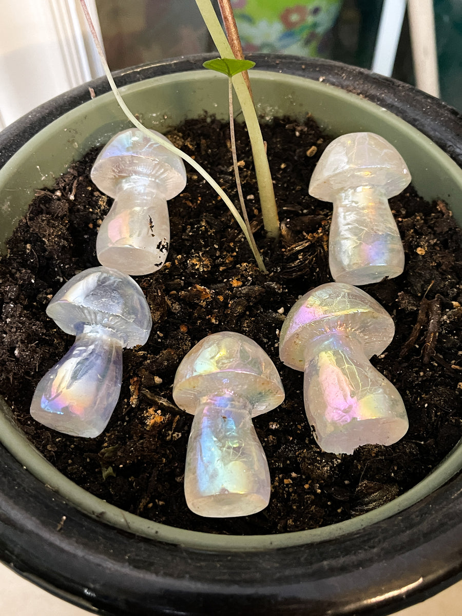 Angel Aura Quartz Mushroom – Symbolic Magic